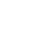 Iconsax
